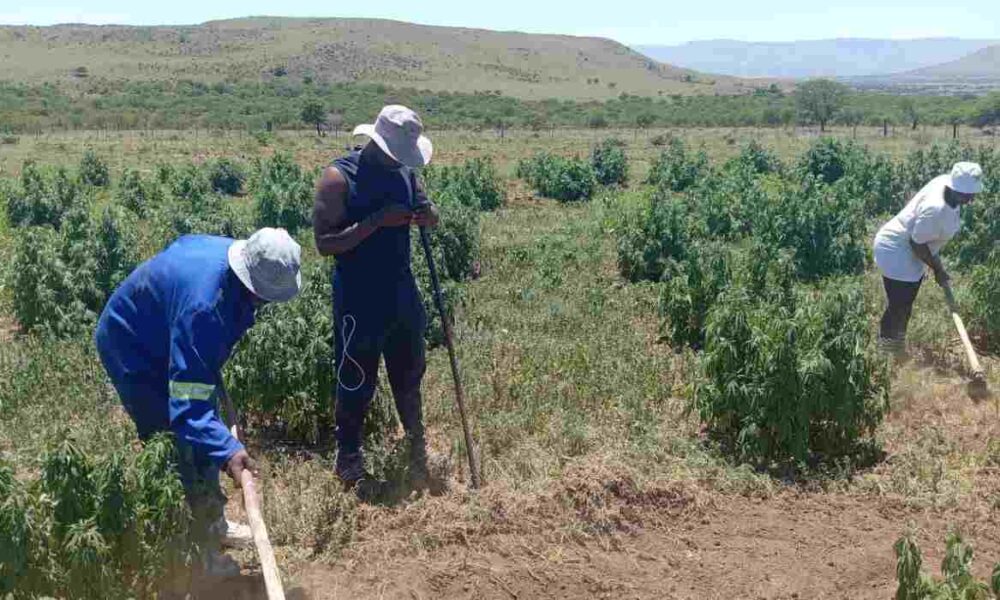 Heavy rains close roads and raise safety concerns across Eastern Cape ...